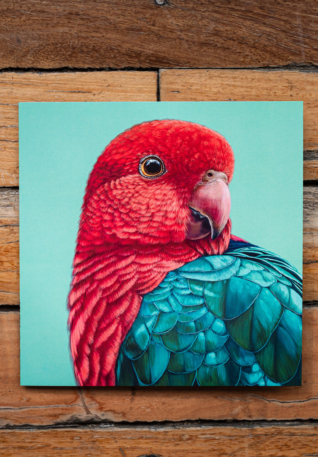 King Parrot Square Greeting Card | Local Australian Artist