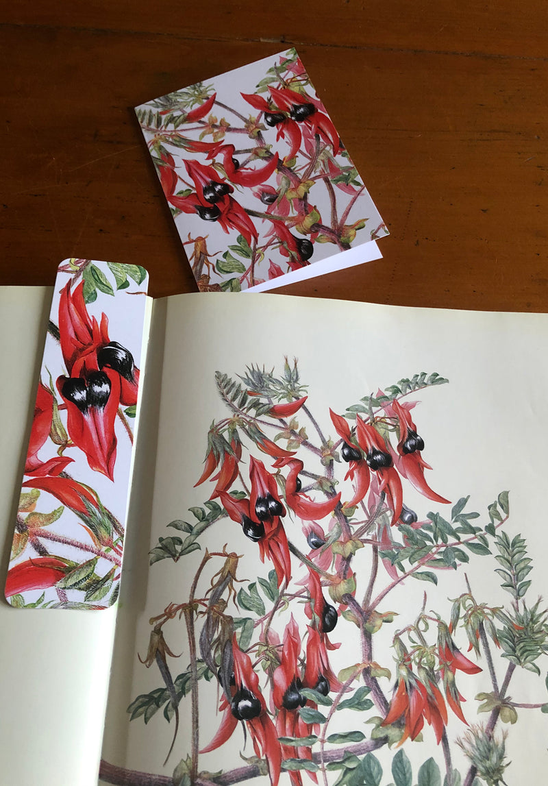 Sturt Desert Pea - White A6 Greeting Card | Australian Made Cards